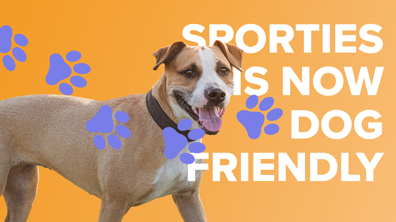 Sporties Club | The Doylo